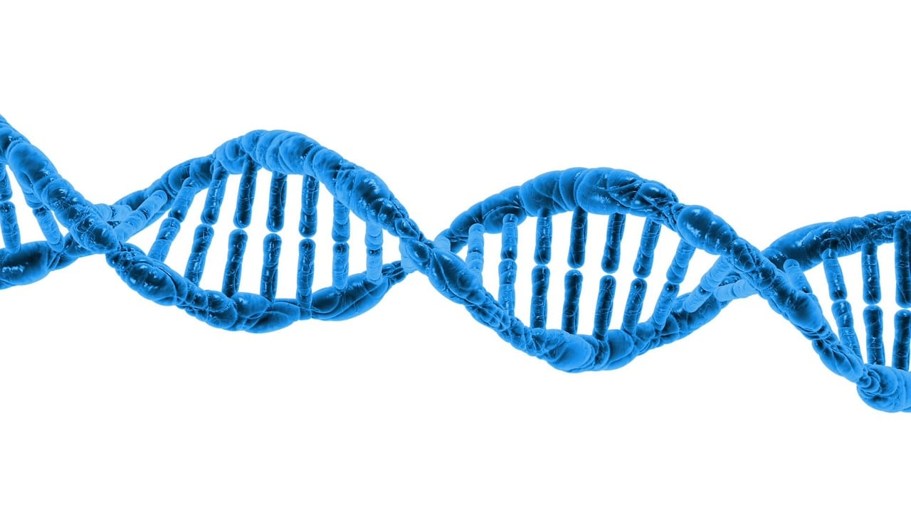 Pharmacogenomic Testing | Remington Drug